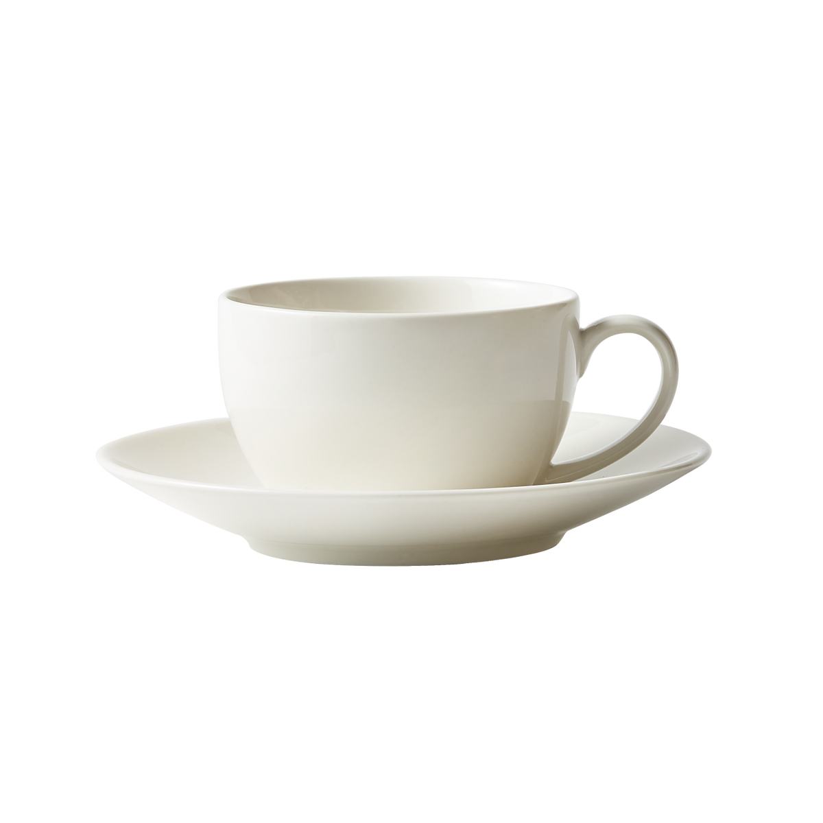 Oasis Cup & Saucer - Luzerne – Luzerne Singapore