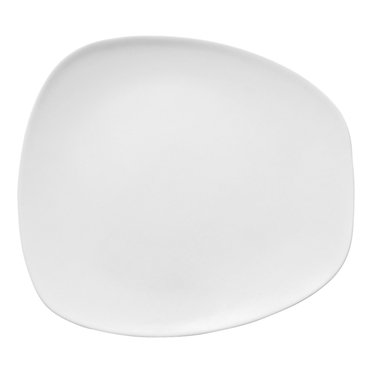 Evolution - Plate 26.5cm – Luzerne Singapore